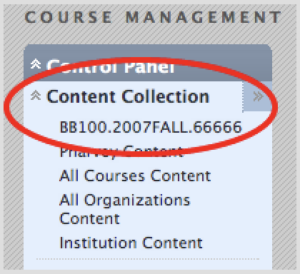 Adding Text and File Content to your Blackboard Course - University IT